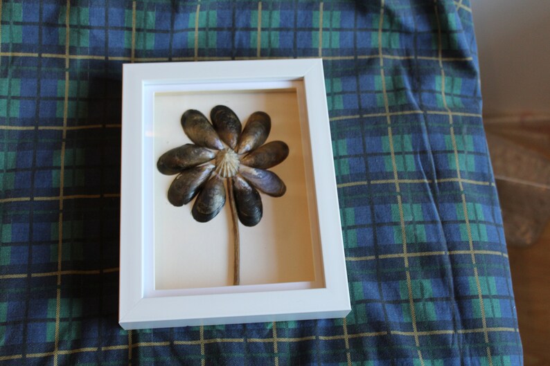 Handmade Pebble and Shell Mussel Flower Picture - Etsy