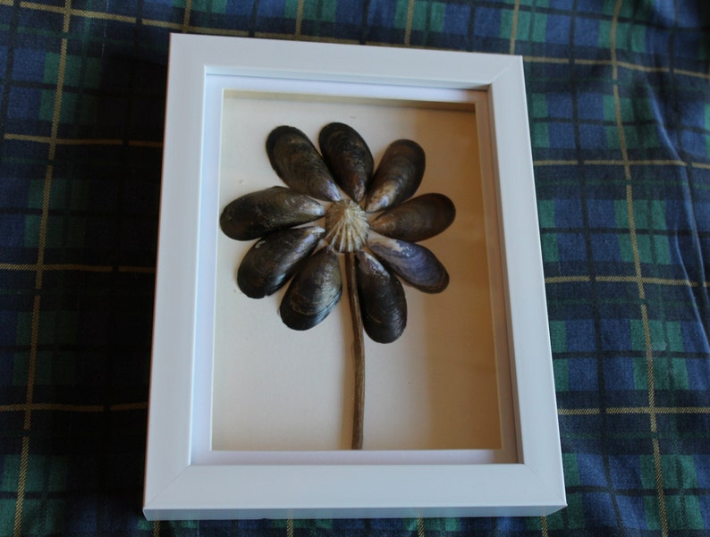 Handmade Pebble and Shell Mussel Flower Picture - Etsy