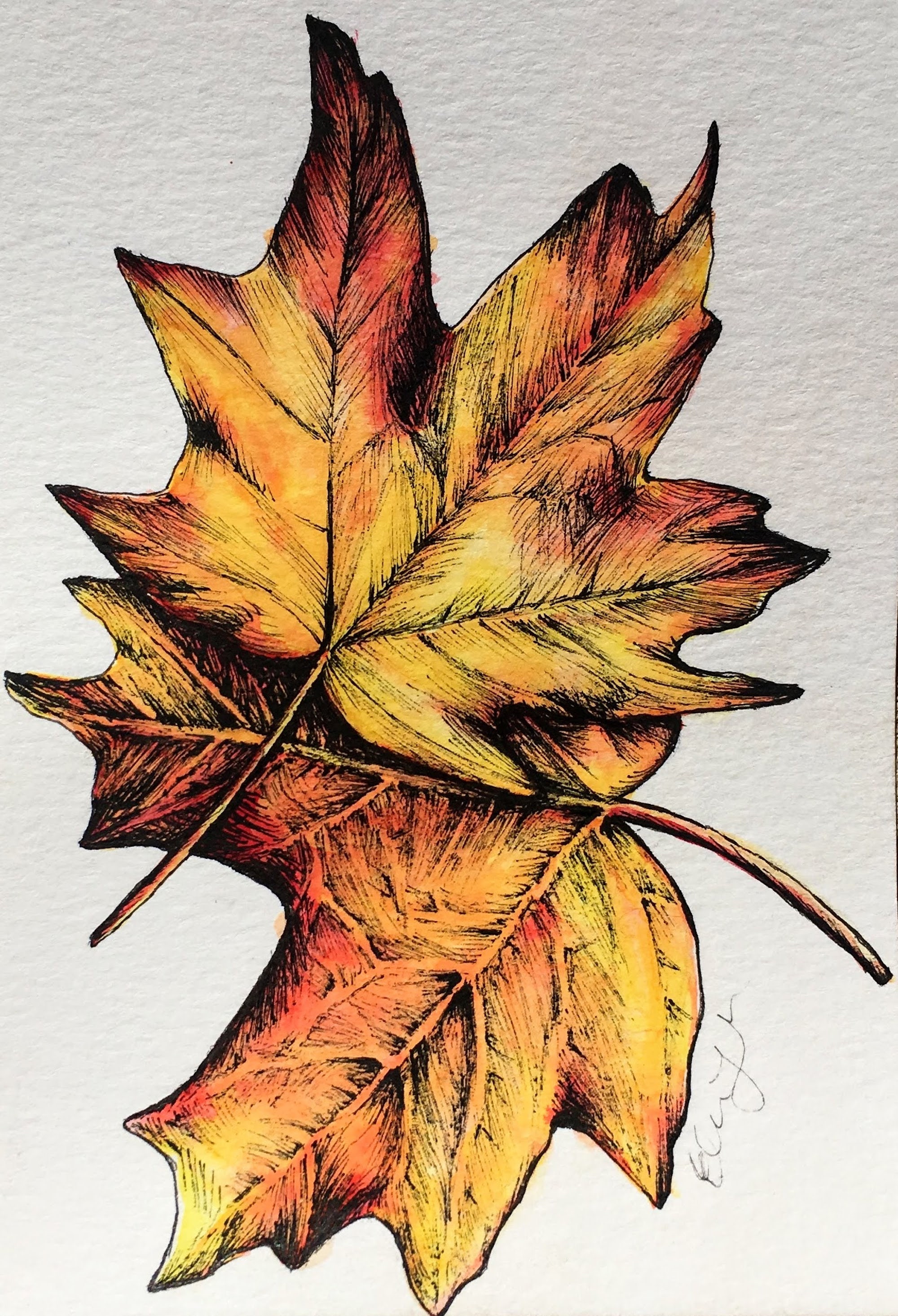 A2 Notecards FALL SET 2019 - Set of 6 Blank Greeting Cards With ...