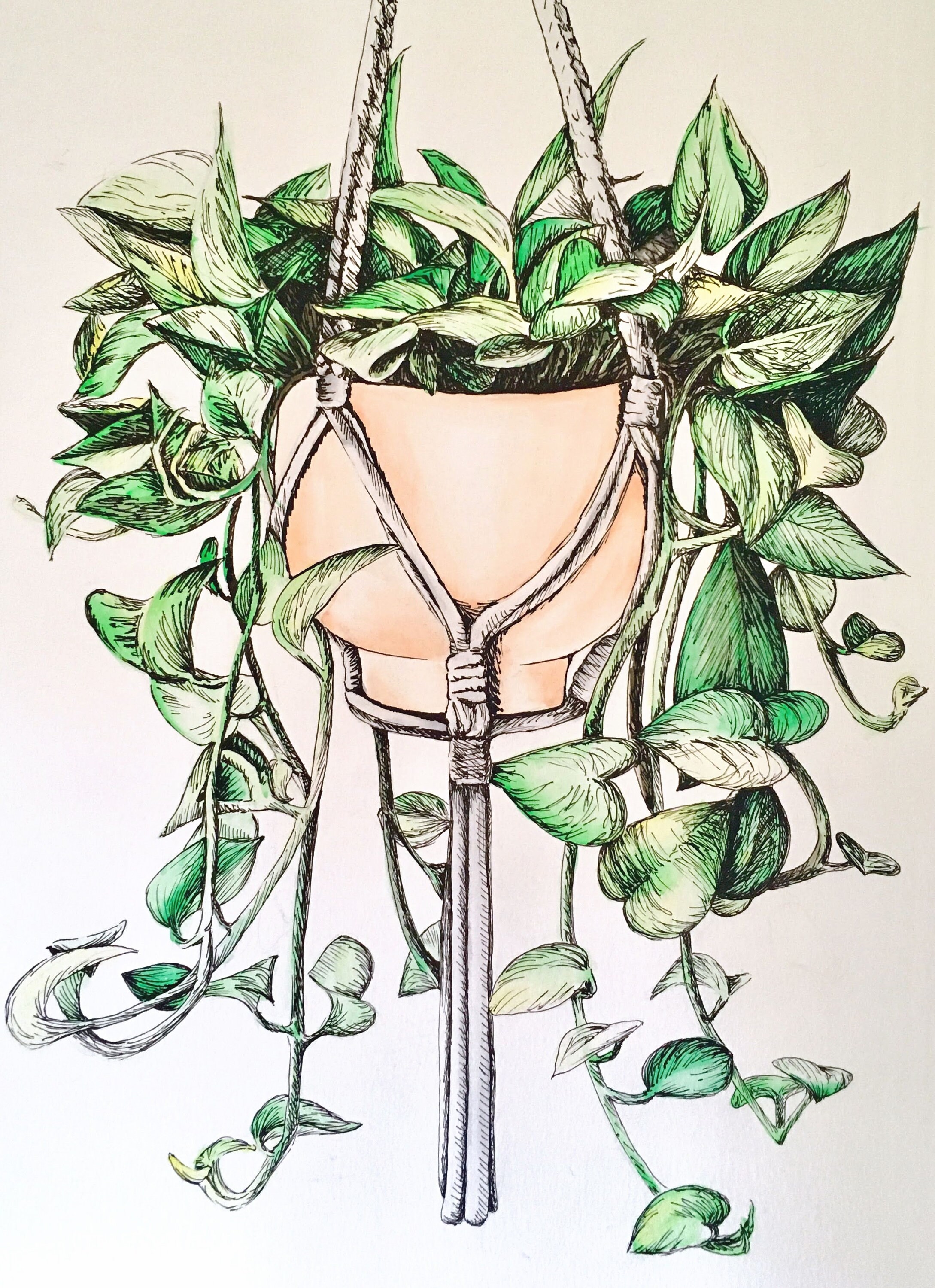 SET of 2 - Pothos and String of Pearls Water Color & Ink Hanging Plant ...