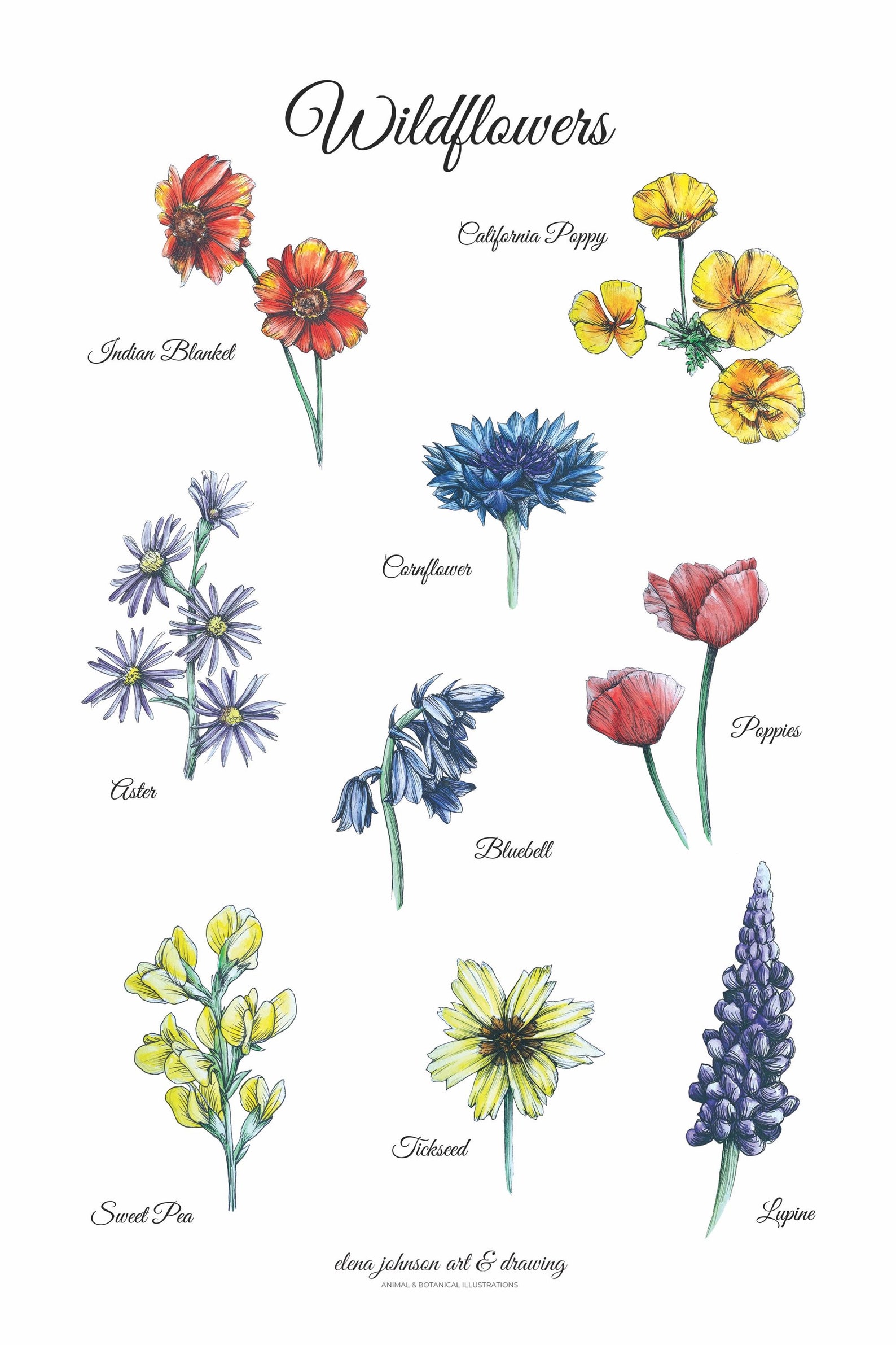 Wildflower Collage Poster 12"x18" - Watercolor & Pen Print - Etsy