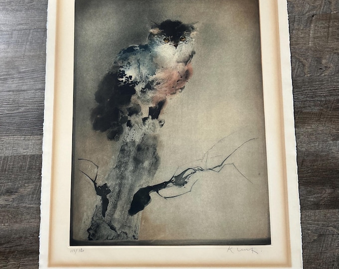 Framed Antique French Etching - Etsy
