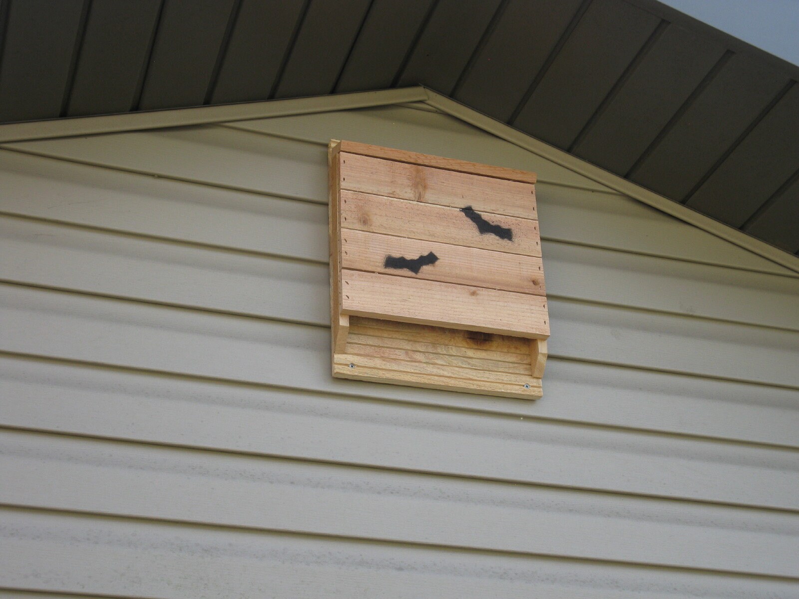2 Bat Houses Nesting Box 100% Natural Western Red Cedar | Etsy