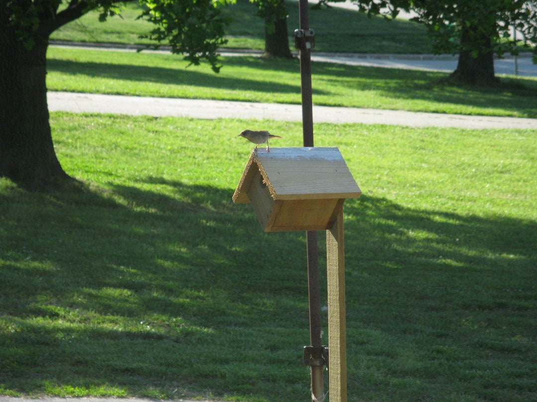 Wren Bird House Nesting Box All Natural Rough Sawn Western Red Cedar ...