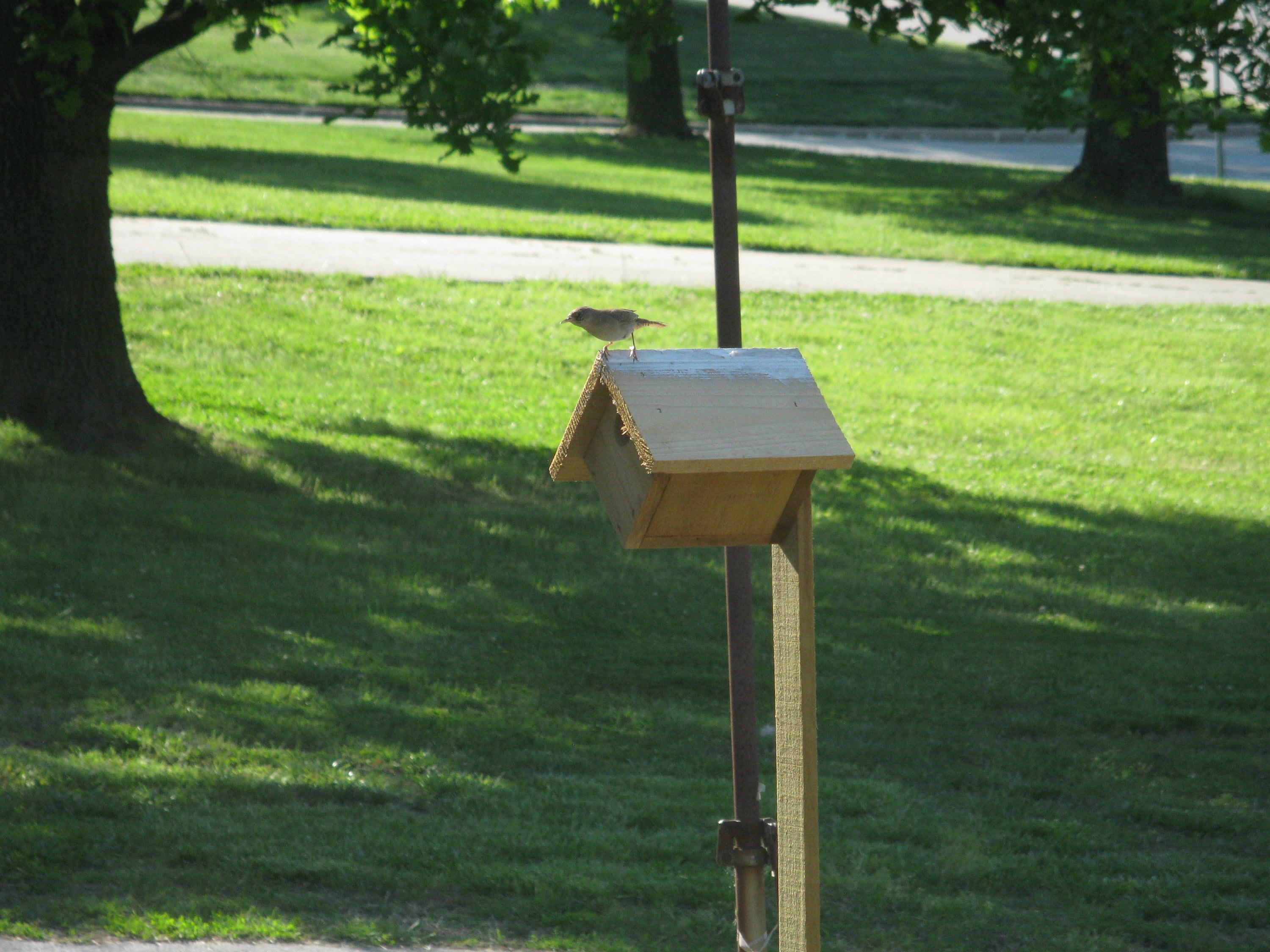 Wren Bird House Nesting Box All Natural Rough Sawn Western Red Cedar ...
