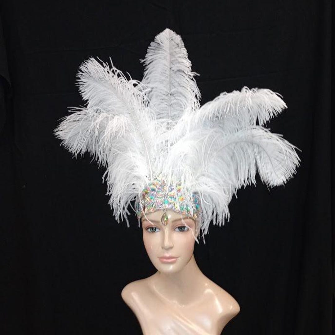 Carnival Feather Headdress: Ostrich Feather, Silver Rhinestone Crown ...