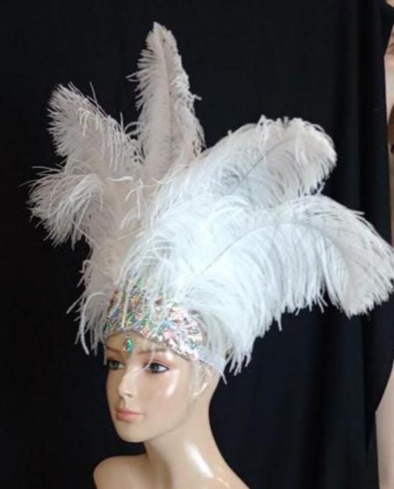 Carnival Feather Headdress: Ostrich Feather, Silver Rhinestone Crown ...