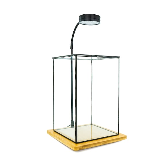 Terrario Per Piante Grasse Set Di Terrarietti Da Appendere In Vetro Di