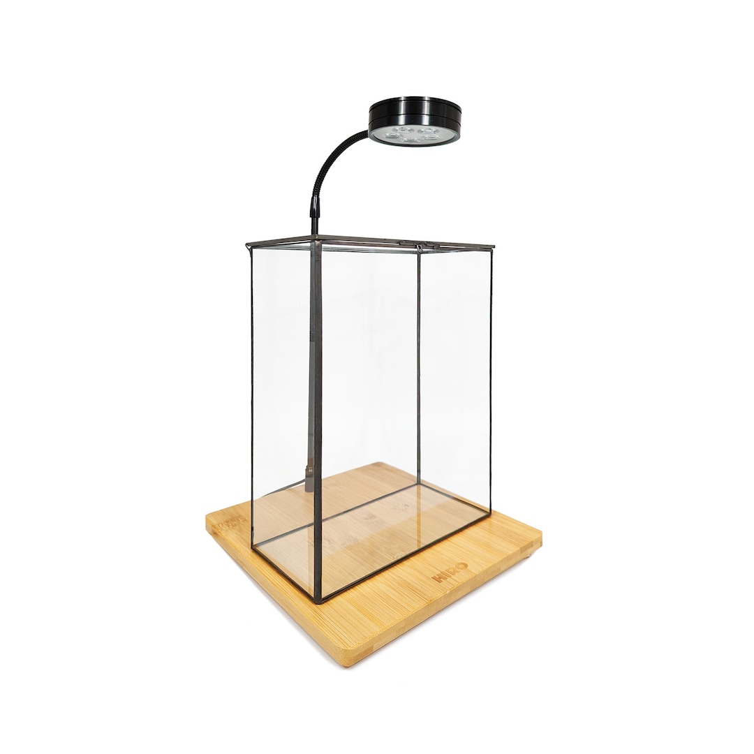 Bookshelf Plant Geometric Glass Vessel Container for Succulent Moss ...