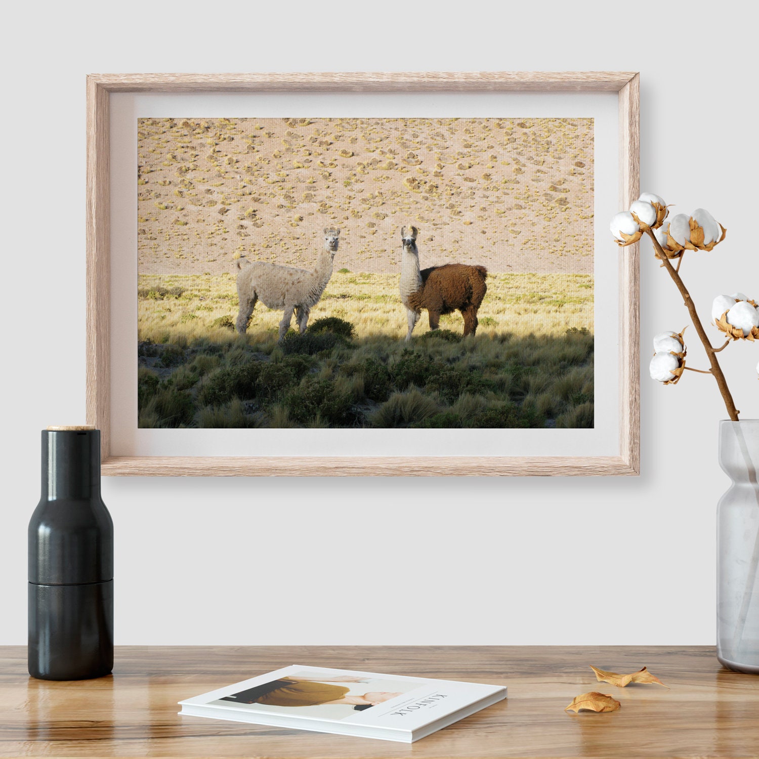 Llama Print Digital Download Photograph Alpaca Printable - Etsy