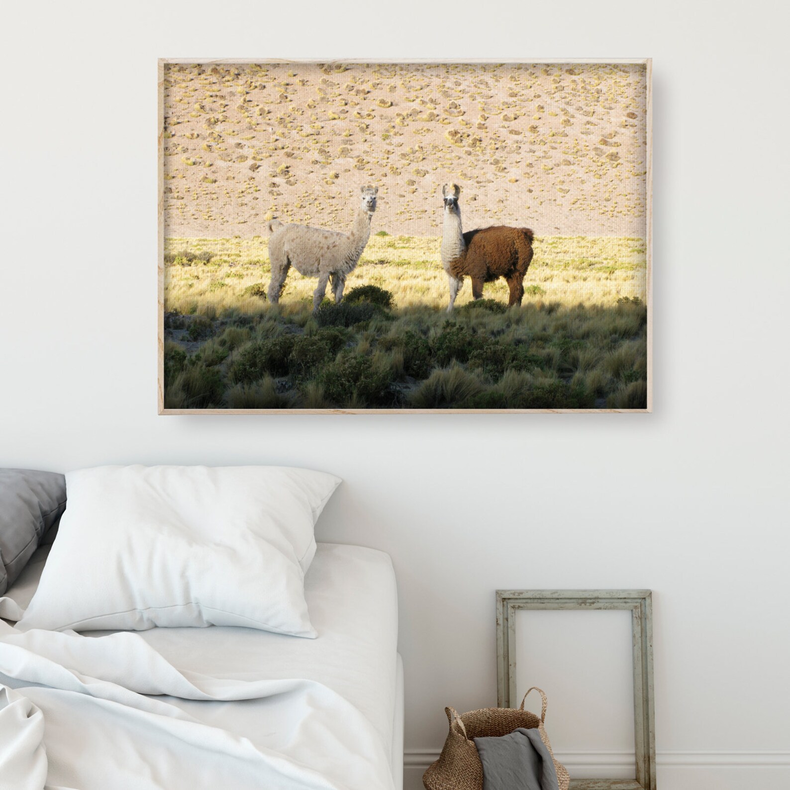 Llama Print Digital Download Photograph Alpaca Printable - Etsy