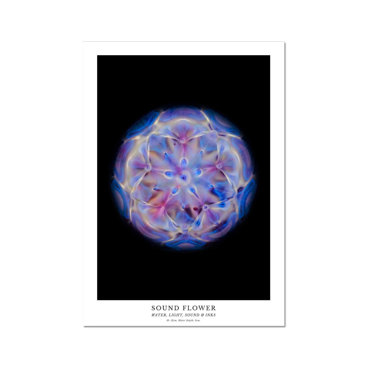 CYMATICS Photography Print Sound Flower - Etsy