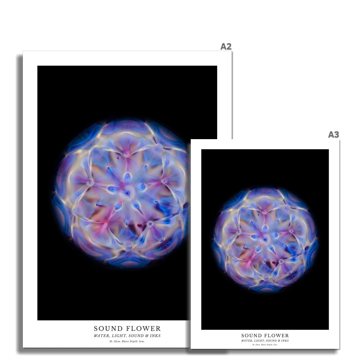 CYMATICS Photography Print Sound Flower - Etsy