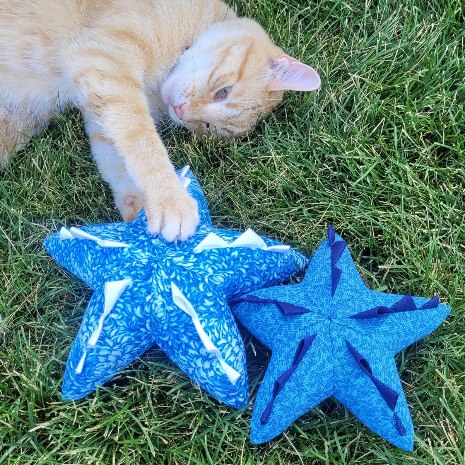 Starfish Sewing Pattern: Plush, Pillow & Beanbag (PDF Digital Download ...