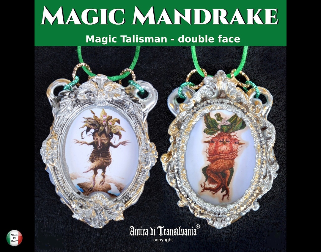 Mandrake Plant, Harry Potter Herbology Amulet, Apothecary Herbs Magic ...