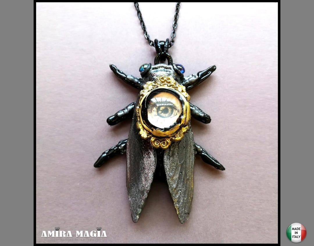 Cicada Life Cycle Jewelry, Insect Bug Amulet, Butterfly Taxidermy ...