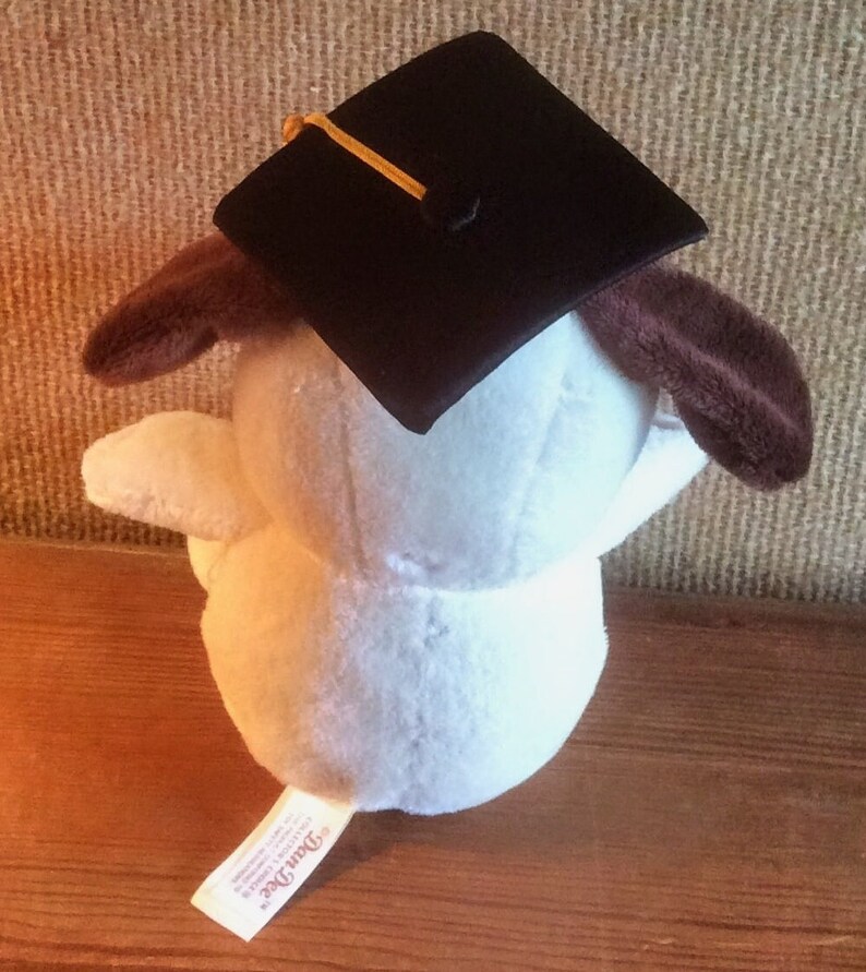 Graduation Dog Puppy Stuffed Animal Plush Dan Dee Collector's Choice ...