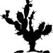 Cactus Bundle - Etsy