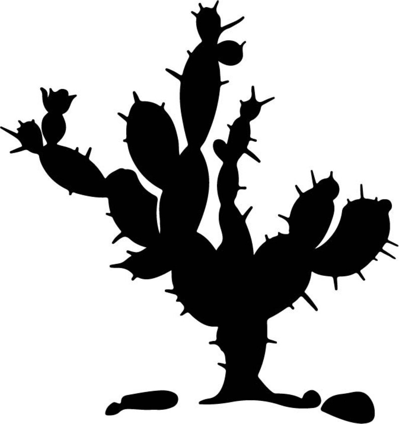 Cactus Bundle - Etsy