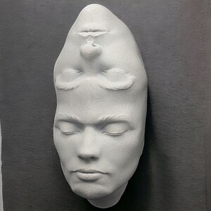 Abstract Sculpture, Surrealism Wall Hanging, Modern Wall Art, Conjoined ...