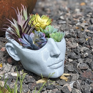 Abstract Planter, Head Planter, Face Planter, People Plant Pot, Women ...