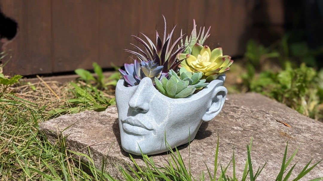 Abstract Planter, Head Planter, Face Planter, People Plant Pot, Women ...