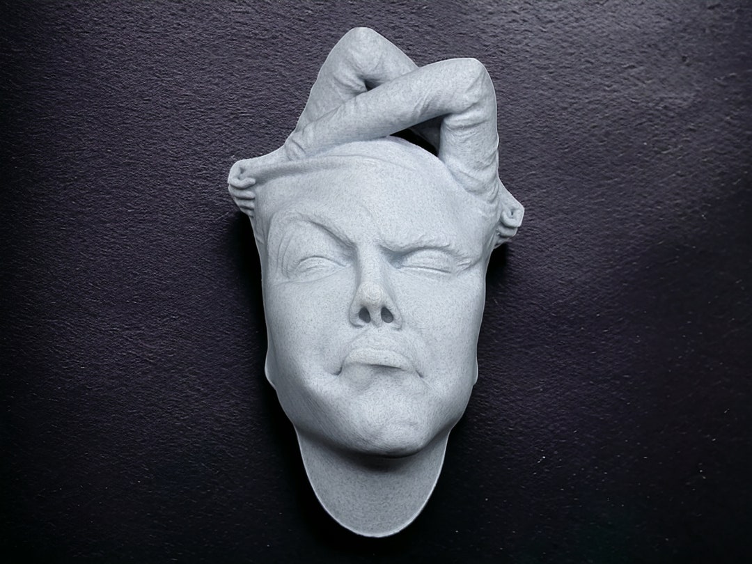 Abstract Sculpture, Home Decor, 3D Wall Art, Modern Wall Art, Head ...