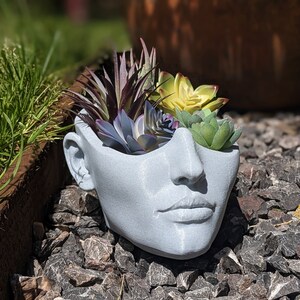 Abstract Planter, Head Planter, Face Planter, People Plant Pot, Women ...