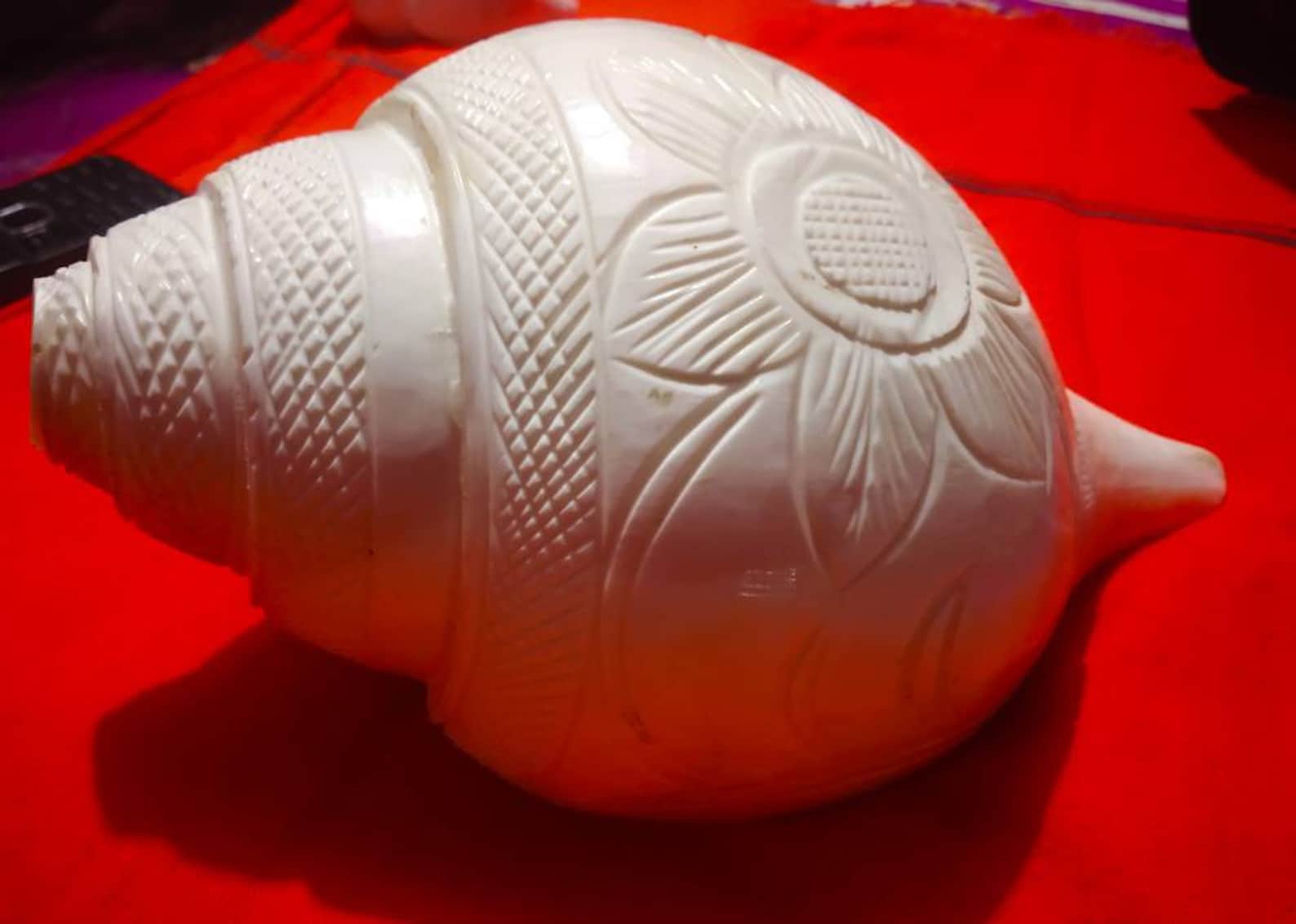 Indian Shankh, Shank, Shonkho Blowing Conch Shell White Shankh, White ...