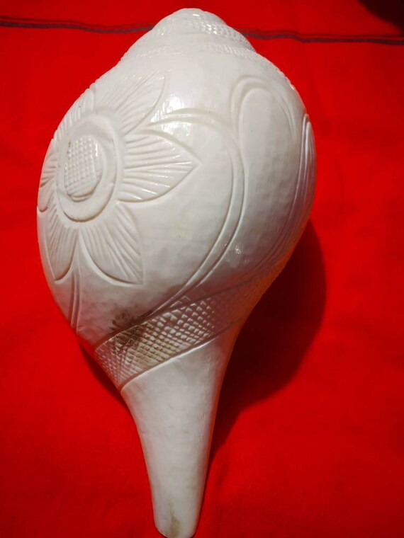 Indian Shankh Shank Shonkho Blowing Conch Shell White | Etsy