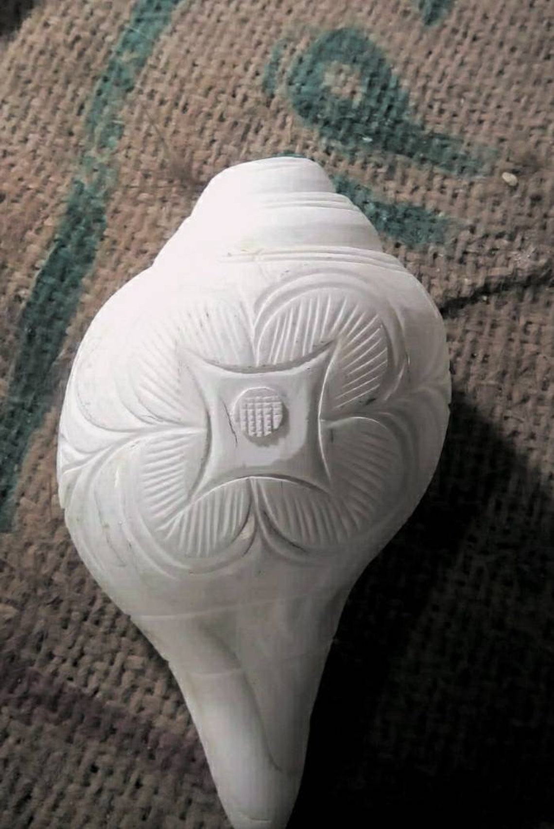 Indian Shankh Shank Shonkho Blowing Conch Shell White - Etsy UK