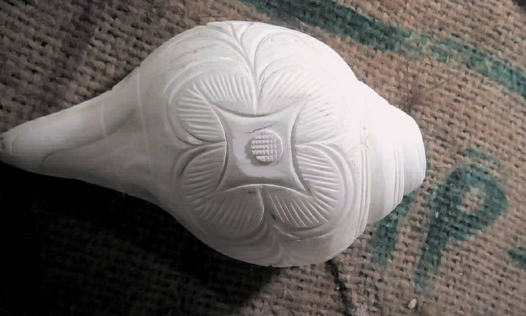 Indian Shankh Shank Shonkho Blowing Conch Shell White - Etsy UK