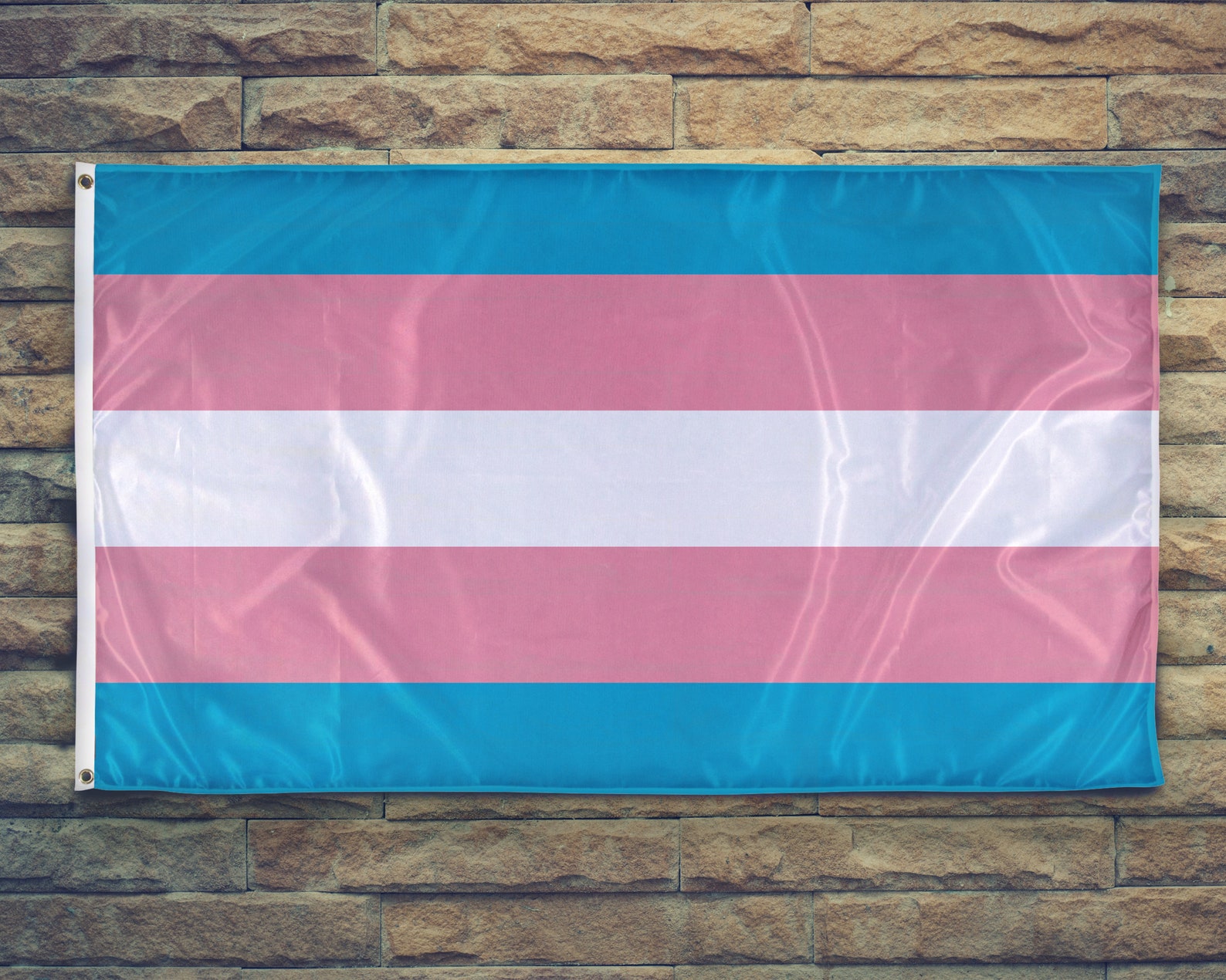 Trans Flag Pride Day Transsexual Flag 3x5 LGBT Flag - Etsy