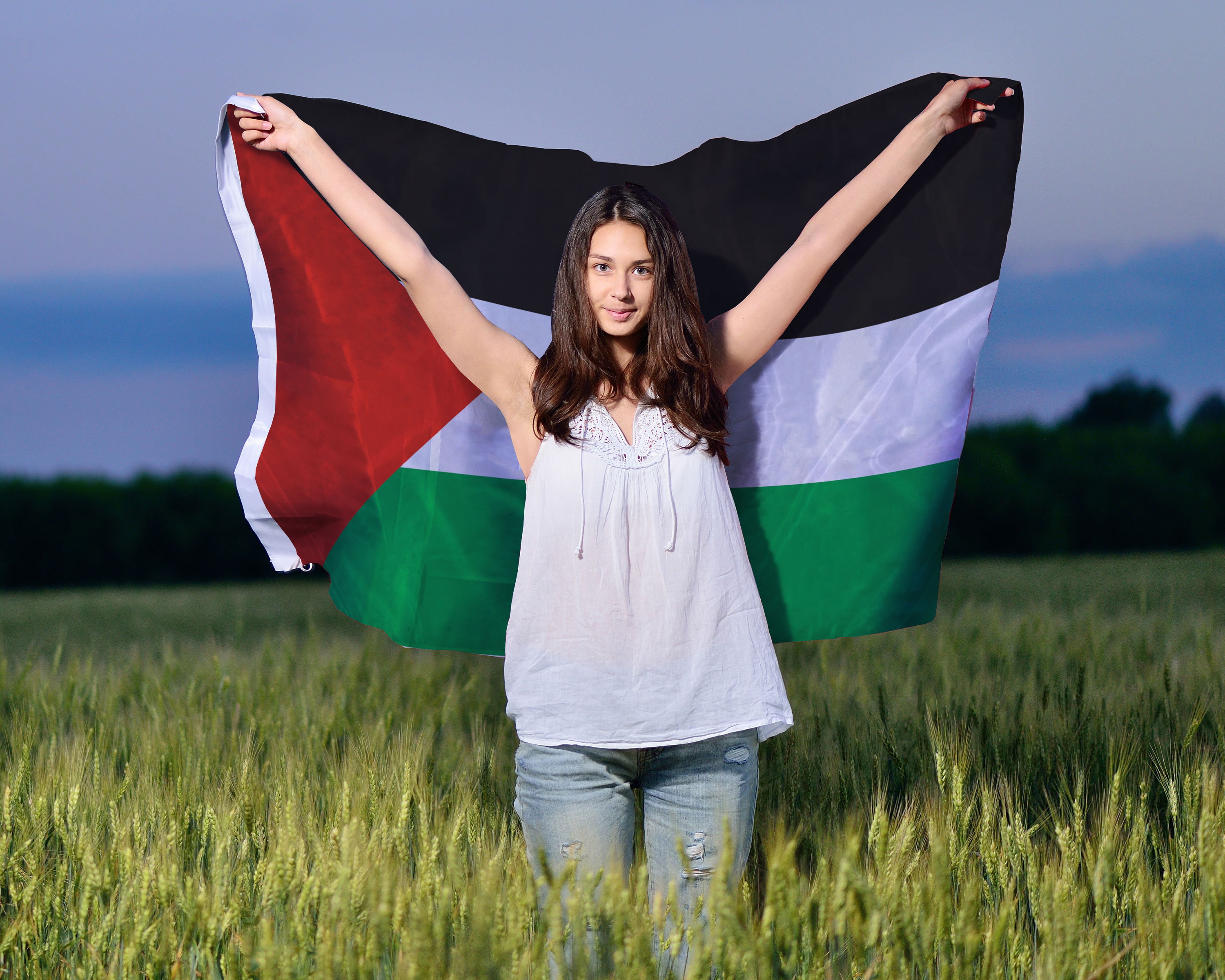 Handmade Palestine Flag - 3ft X 5ft - Made From Durable Polyester - Etsy