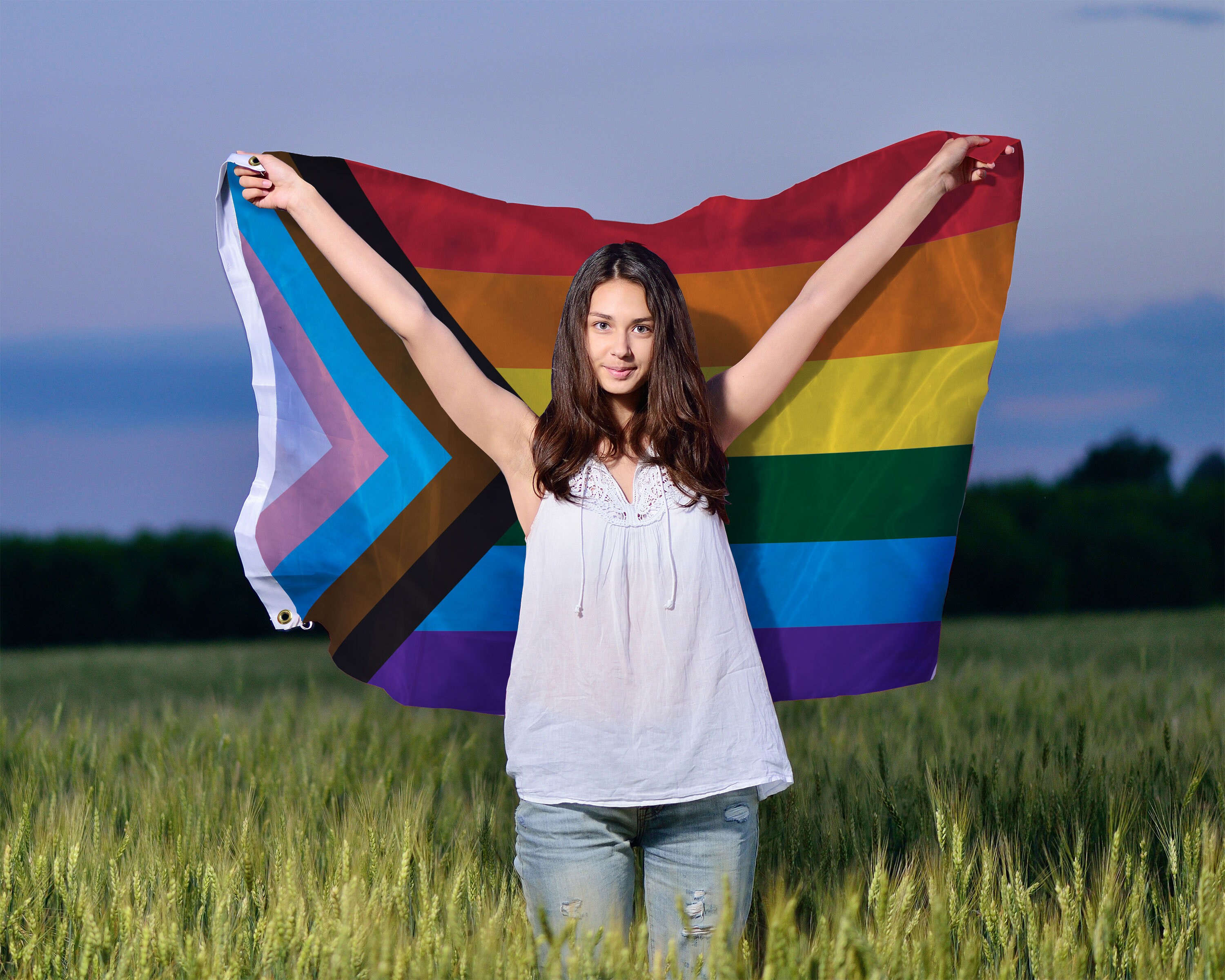 Bandera del Orgullo Progresista Bandera del Orgullo LGBTQ - Etsy México