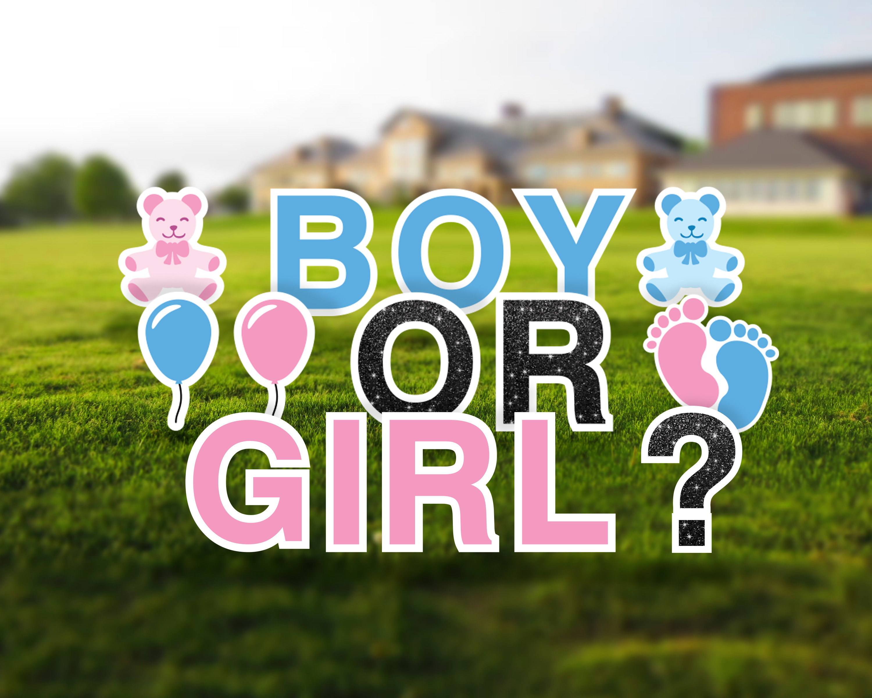 Gender Reveal Yard Sign is It a Boy or Girl 18in Tall | Etsy