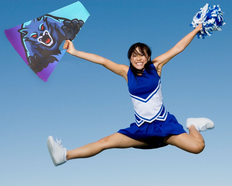 Customizable Cheerleading Sign: Corrugated Plastic, Team Colors ...