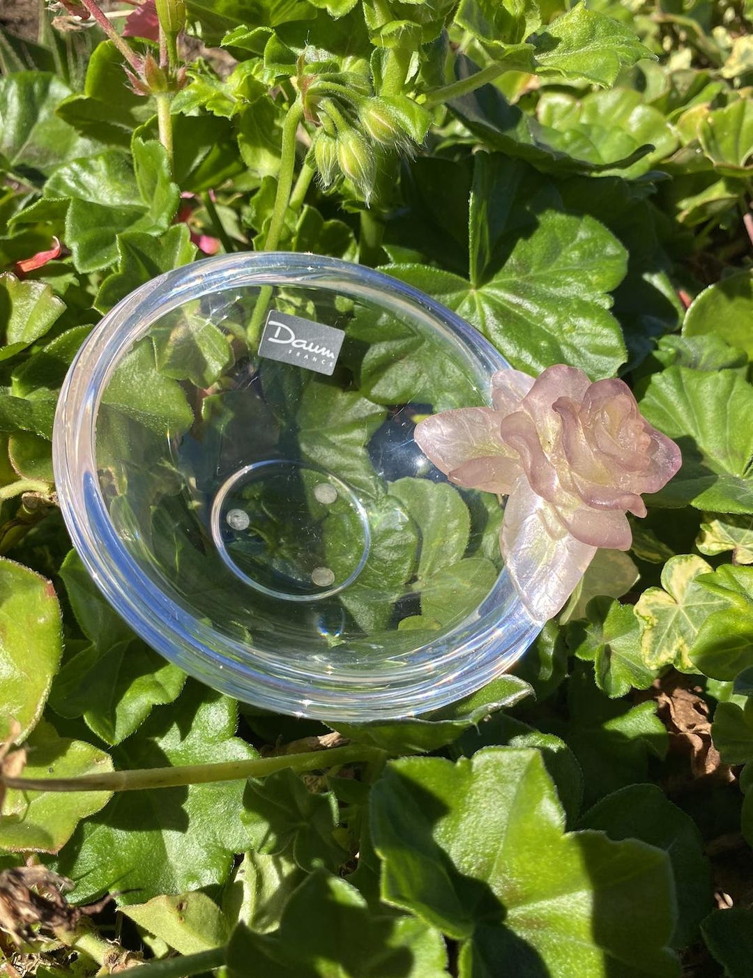 Daum Rose Crystal Bowl With Classic Pink Rose 01690 - 1 COUPELLE RONDE ...