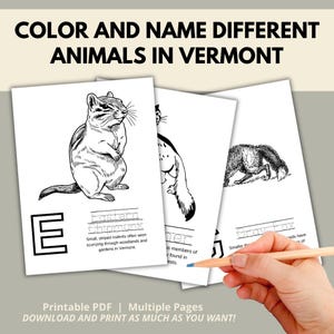 Vermont Abcs Coloring Book: A Printable ABC Learning and Coloring Kids ...