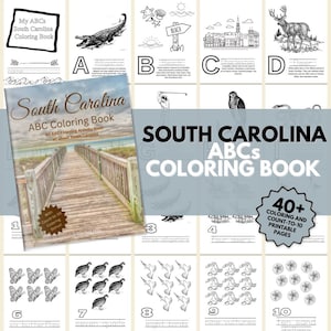 South Carolina Abcs Coloring Book: A Printable ABC Learning and ...
