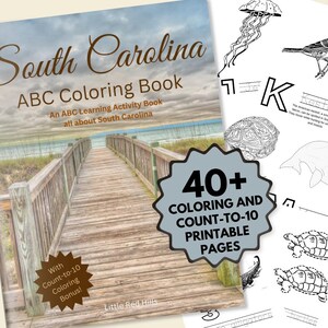 South Carolina Abcs Coloring Book: A Printable ABC Learning and ...