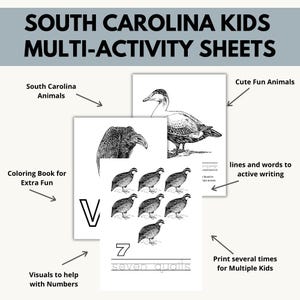 South Carolina Abcs Coloring Book: A Printable ABC Learning and ...
