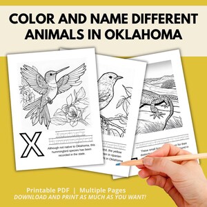 Oklahoma Abcs Coloring Book: A Printable ABC Learning and Coloring Kids ...