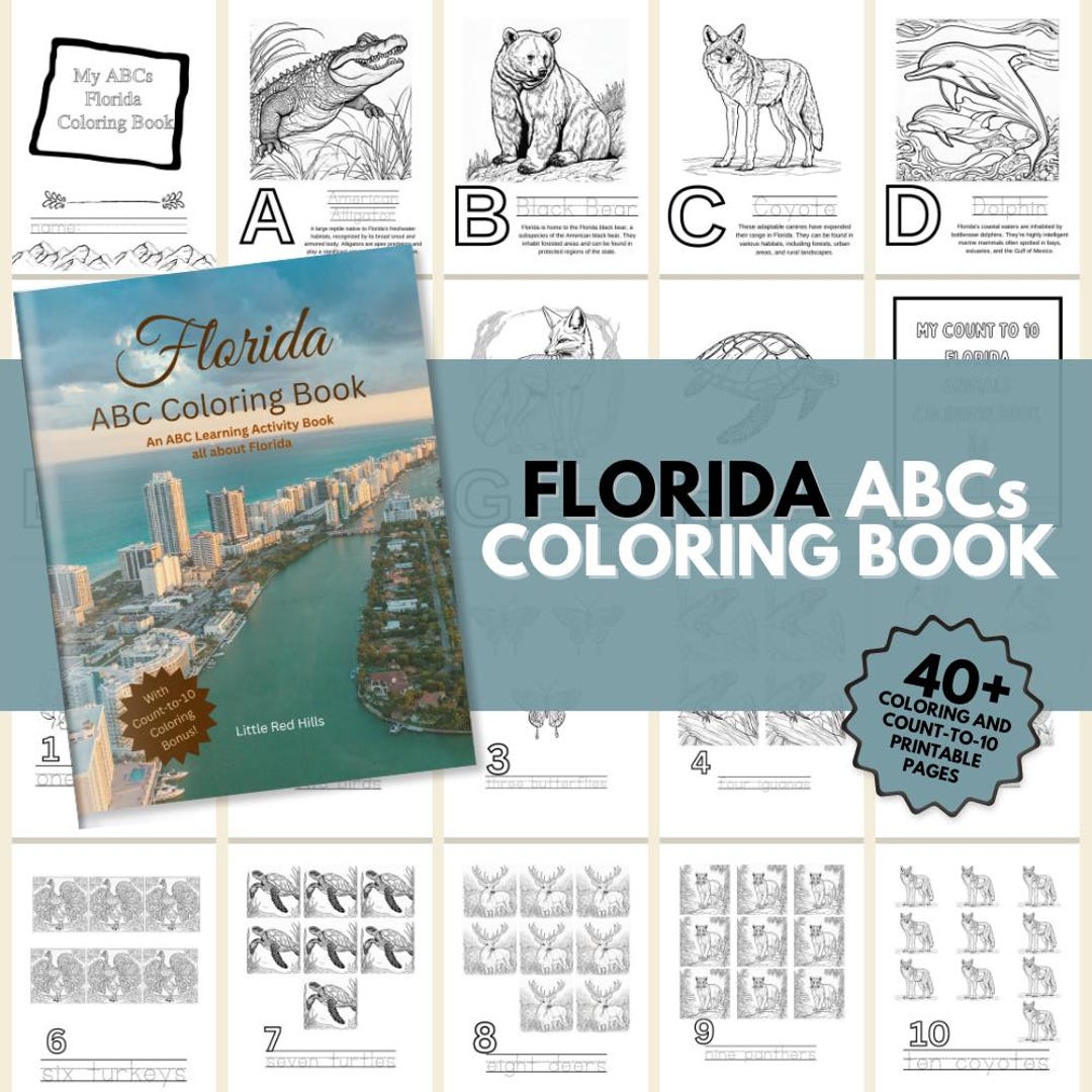Florida Abcs Coloring Book: A Digital ABC Learning Activity Book All ...