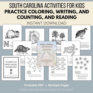 South Carolina Abcs Coloring Book: A Printable ABC Learning and ...