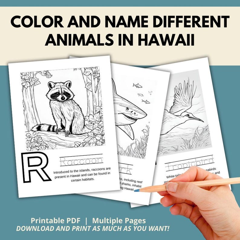 Hawaii Abcs Coloring Book: Printable Learning Activity (digital ...