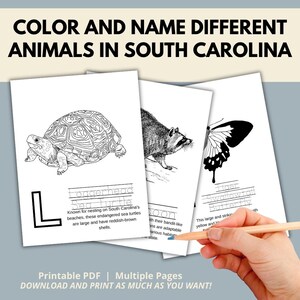 South Carolina Abcs Coloring Book: A Printable ABC Learning and ...