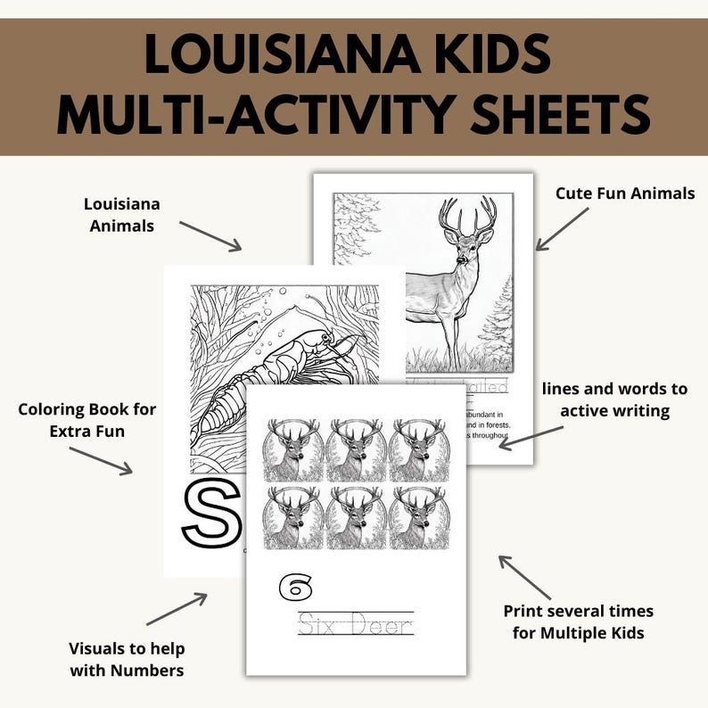 Louisiana Abcs Coloring Book: A Printable ABC Learning and Coloring ...
