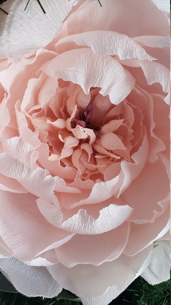 Extra Large 12 Crepe Paper Flowers | Etsy