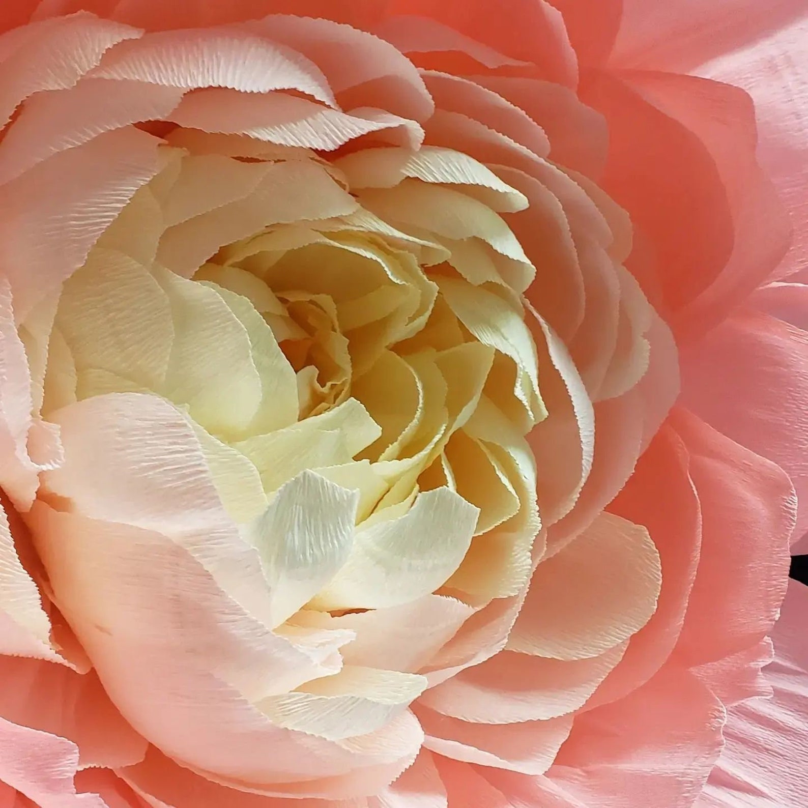 Extra Large 18" Crepe Paper Flowers - Etsy